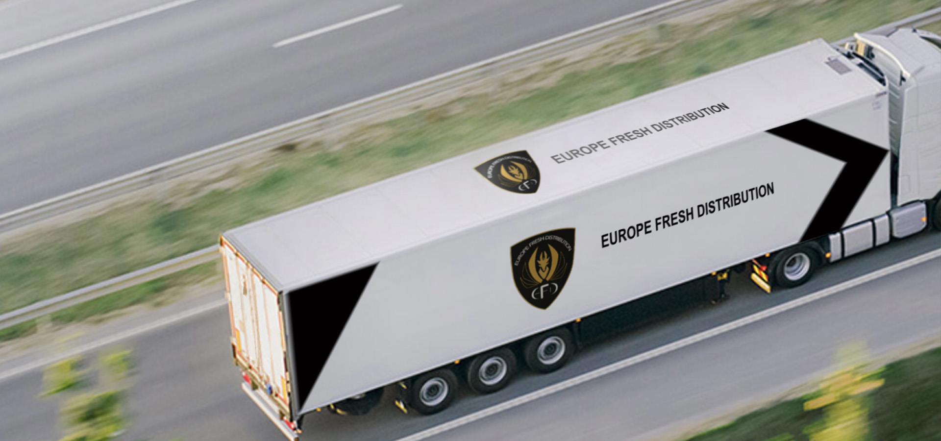 Europe Fresh Distribution – Empresa de transporte y logistíca internacional